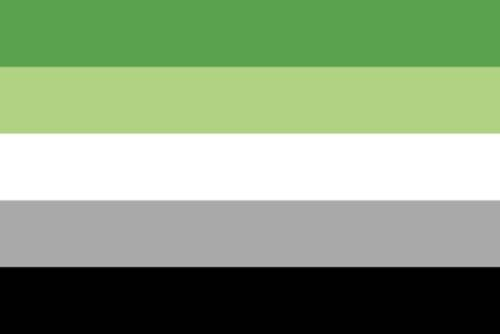 Black american gay pride flag