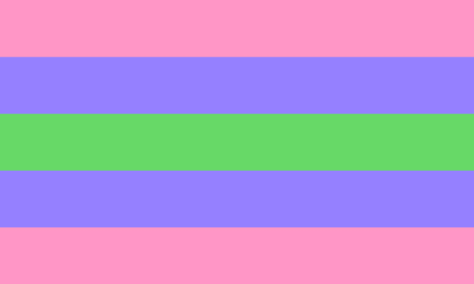 What do the colors represent on the new gay flag