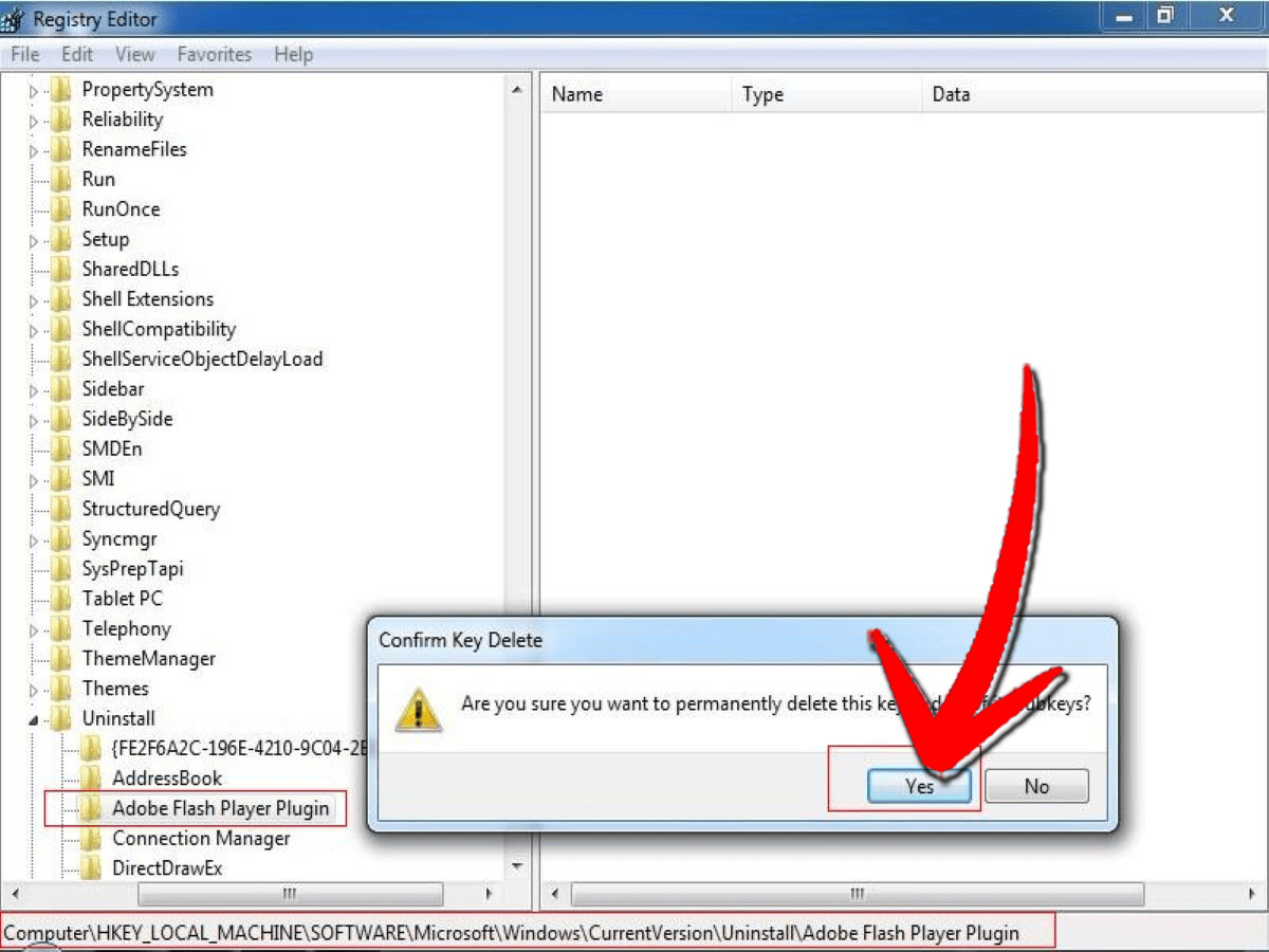 Adobe flash player reader