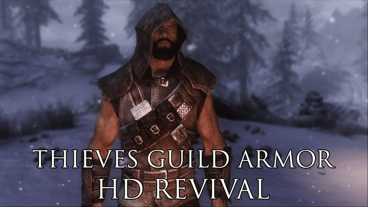 thieves guild armor oblivion