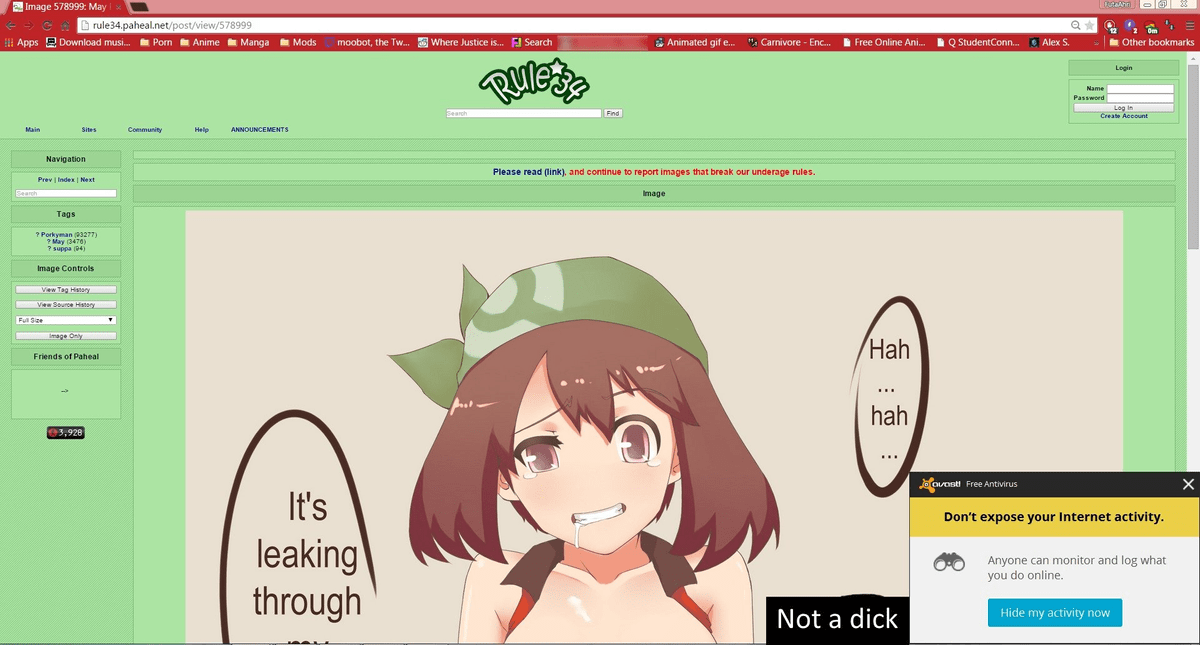 Gay Rule 34 Paheal