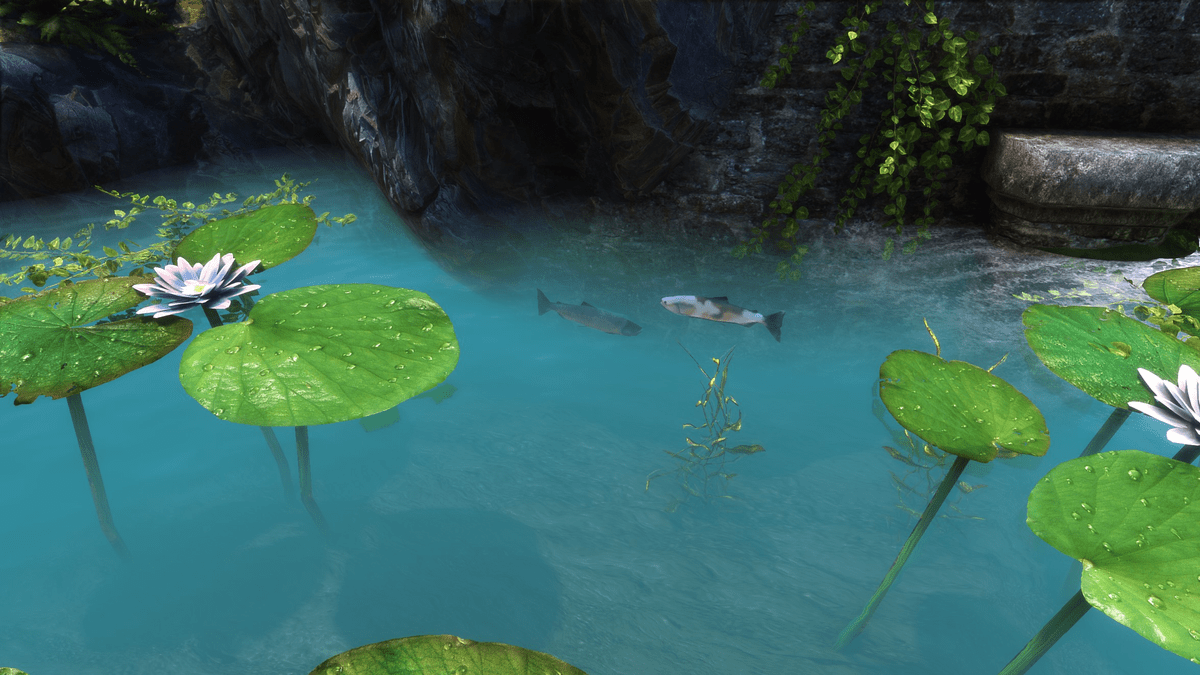 Skyrim real life mod