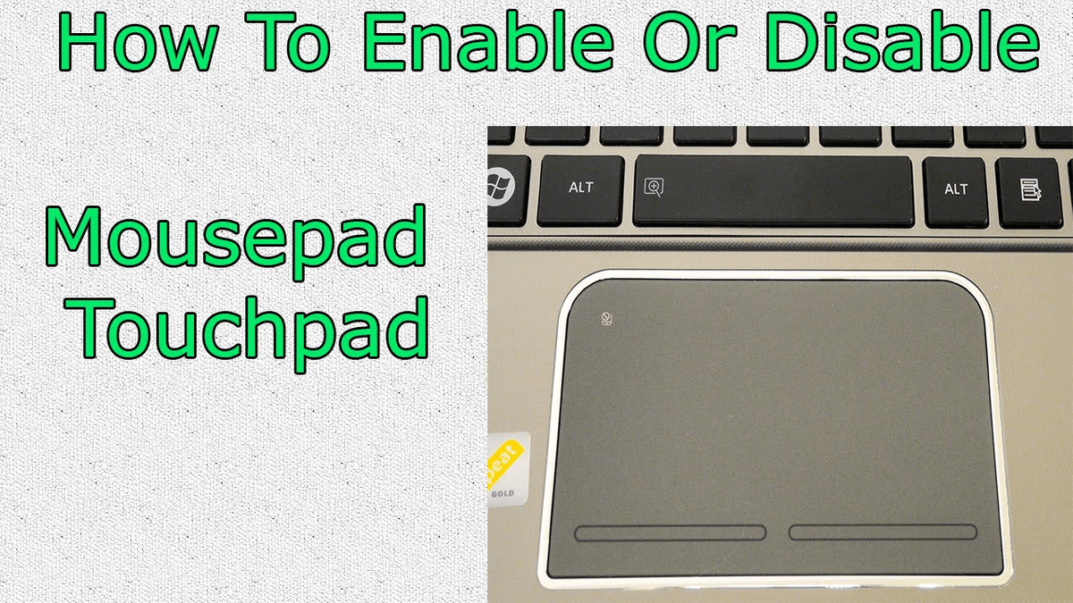 Touchpad buttons not working dell