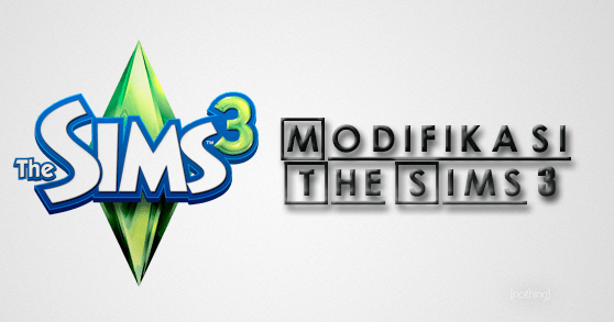 How to install sim 3 mods
