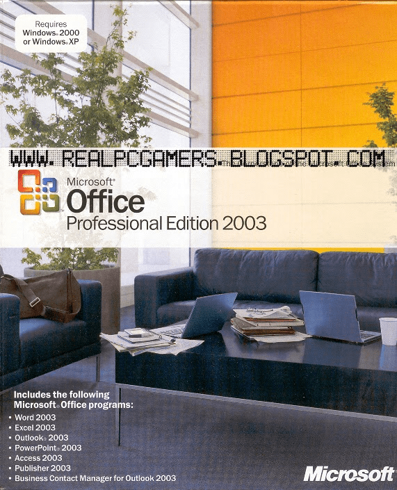 microsoft access 2003 portable