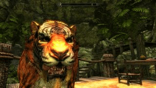 Top 25 skyrim mods
