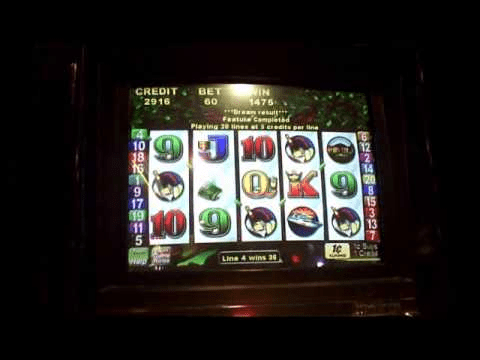 Money coin tree slot machine