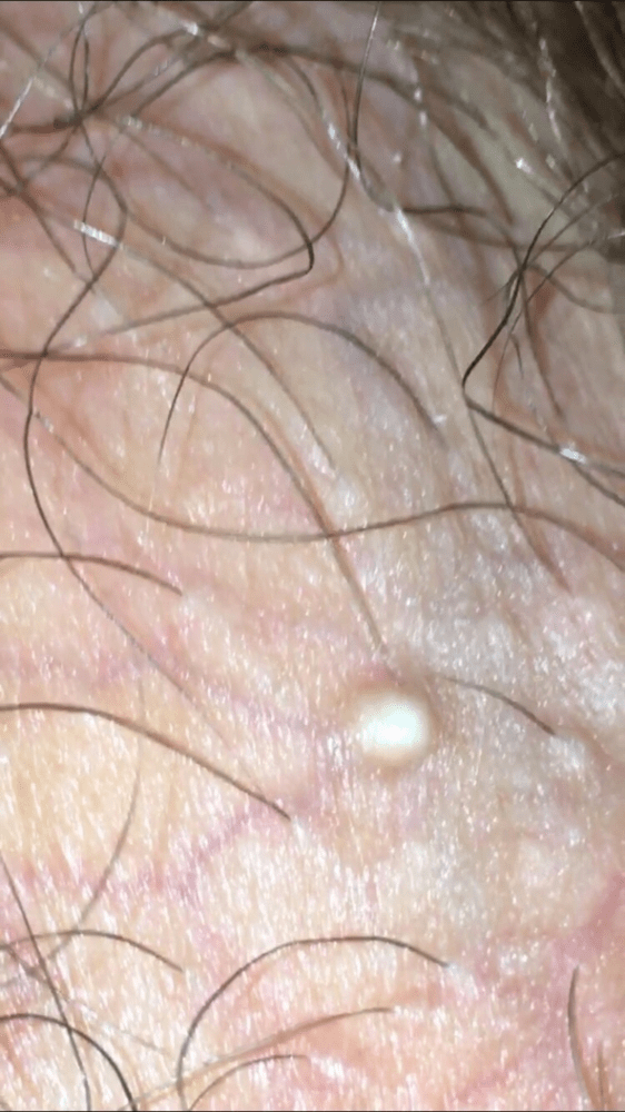 Porn gay hairy black and white