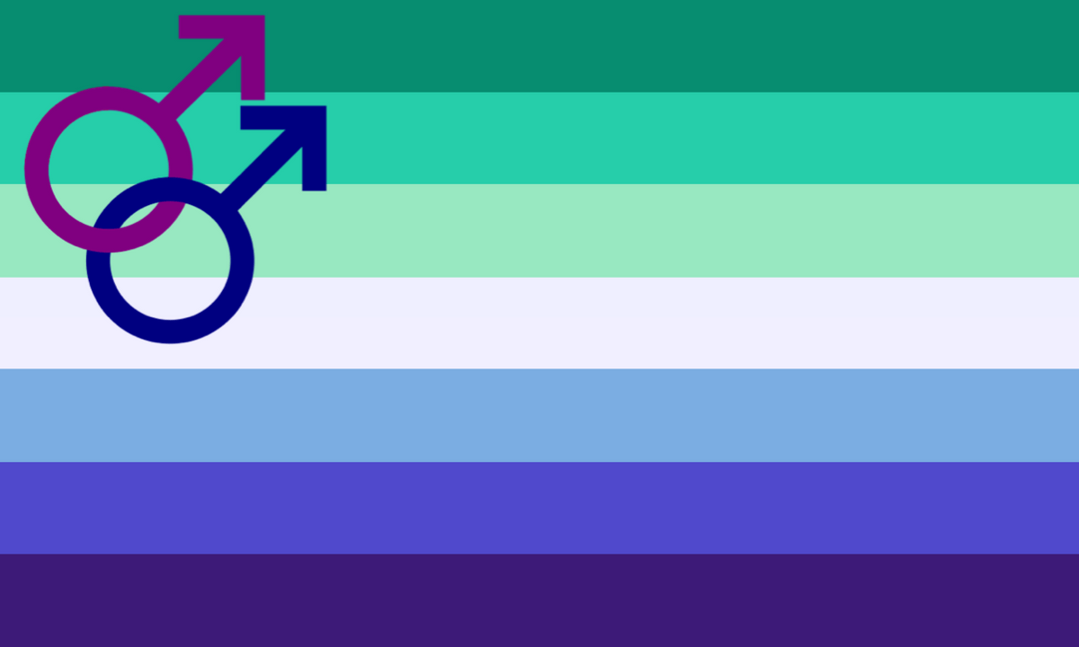 What does the gay flag colors mean