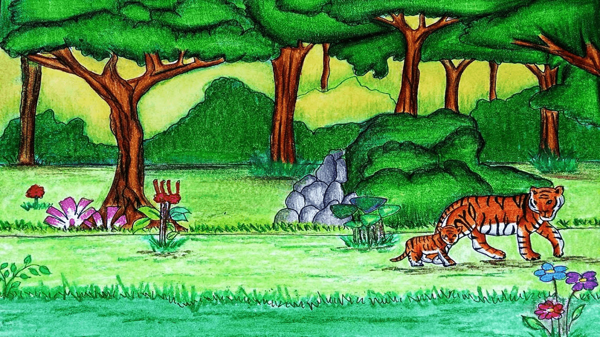 deciduous forest trees drawing