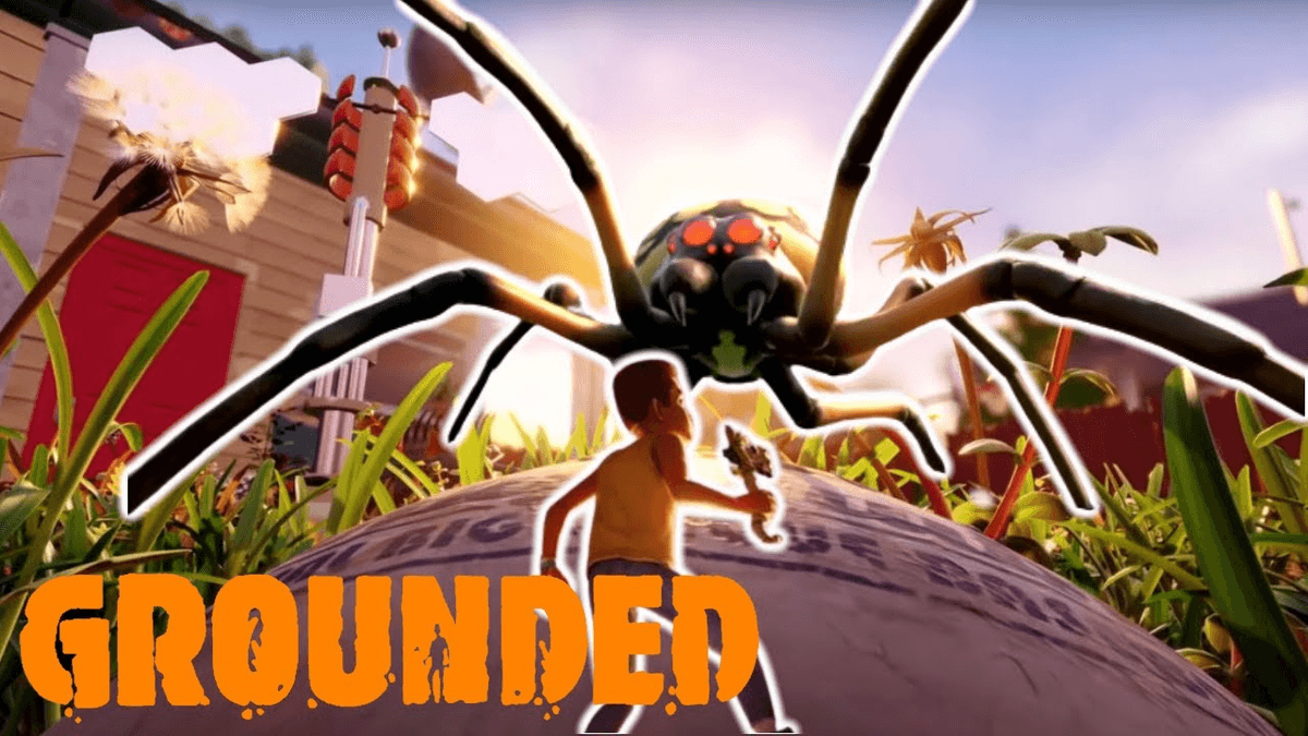 wolf spider grounded