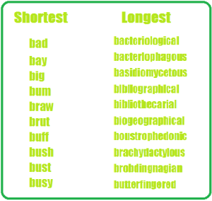 random words beginning with b