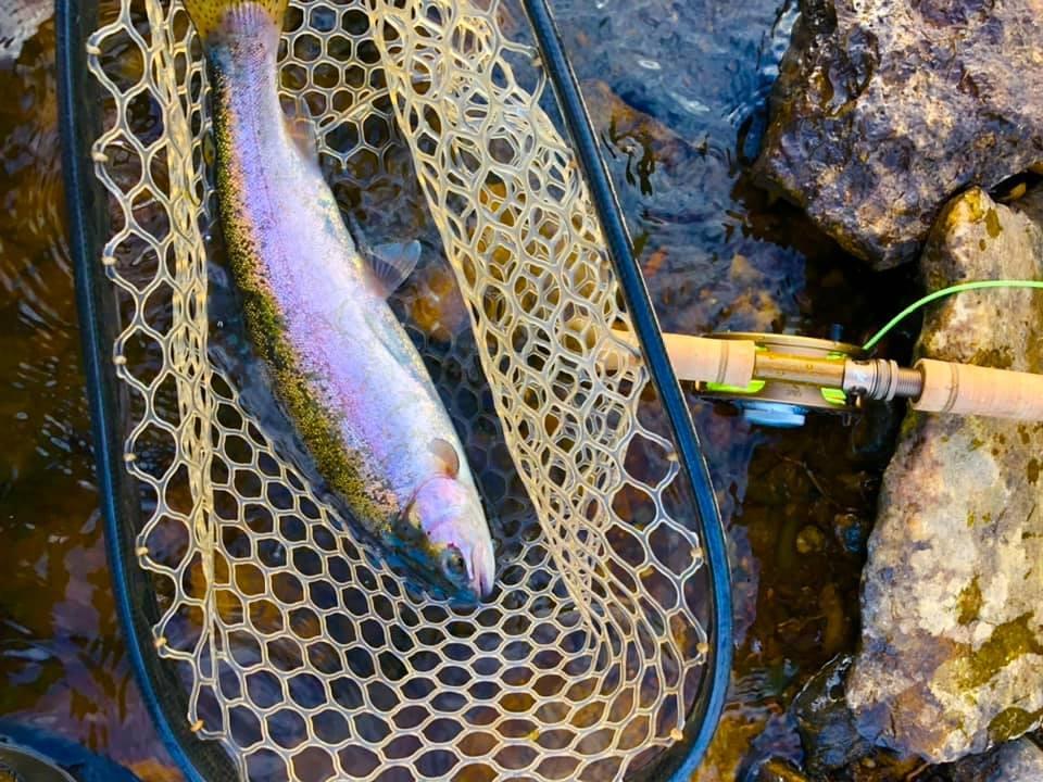 2021 Trout Spey Clave