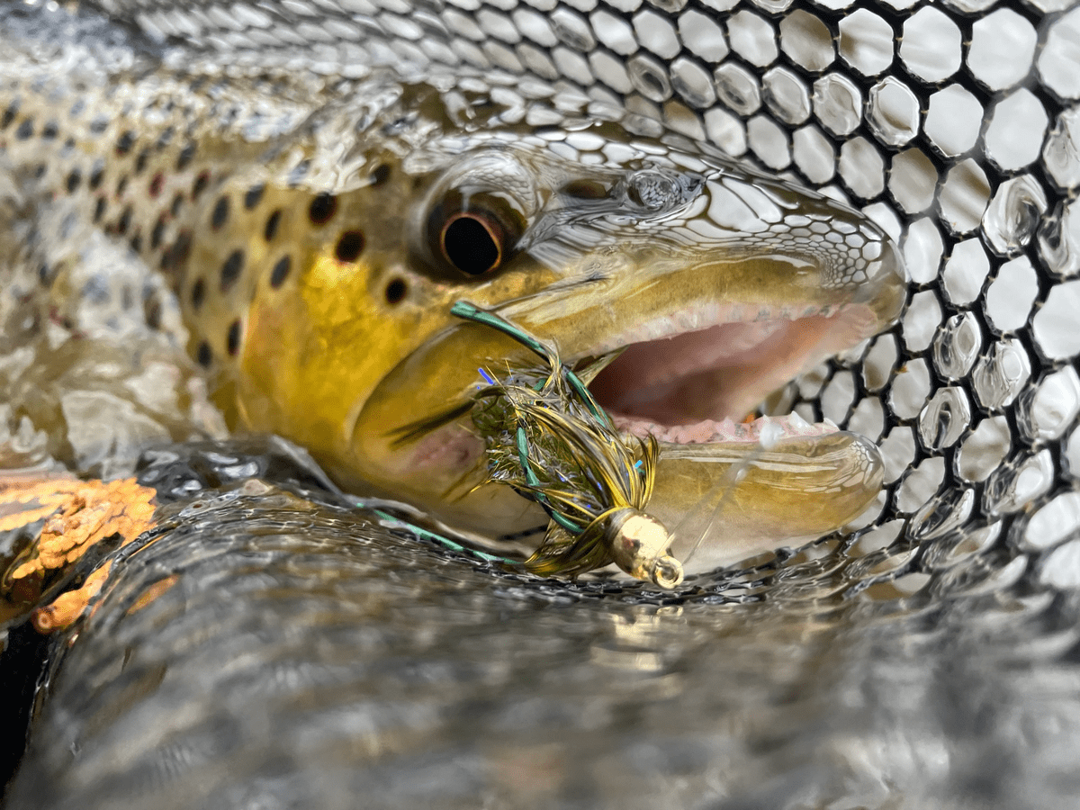Fishing Report - Fall Colors and Agressive Fish - Fishi...