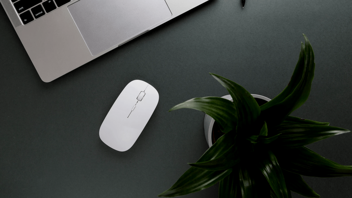 Mousejacking: An Invisible Threat in the Wireless World...