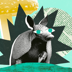 C'EST L'HISTOIRE D'UN TATOU - La Balise