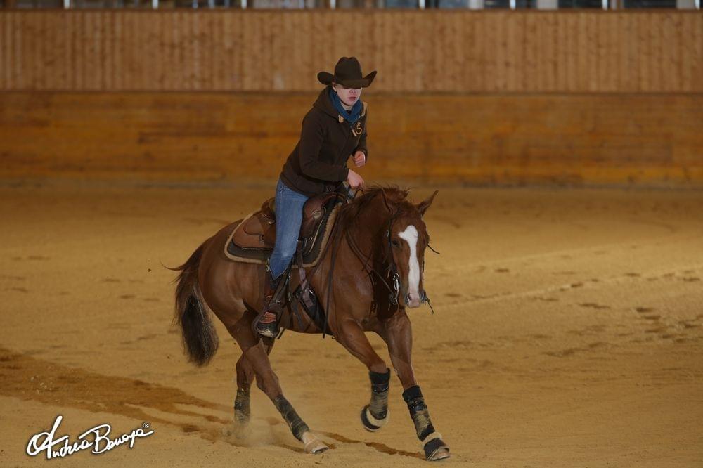 SPRING CLINIC IN DENMARK