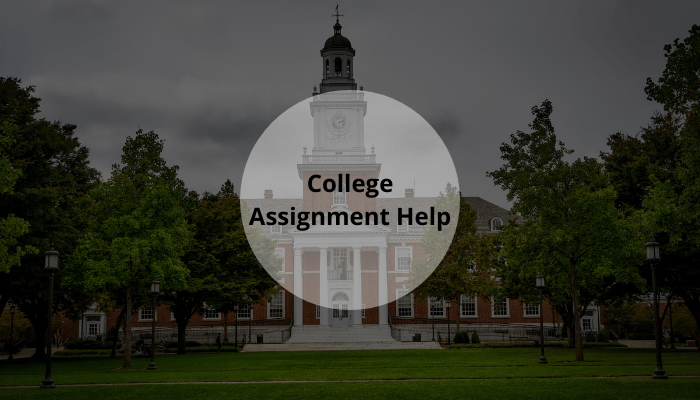 4 Tips to Make the Introduction of Your College Assignm...