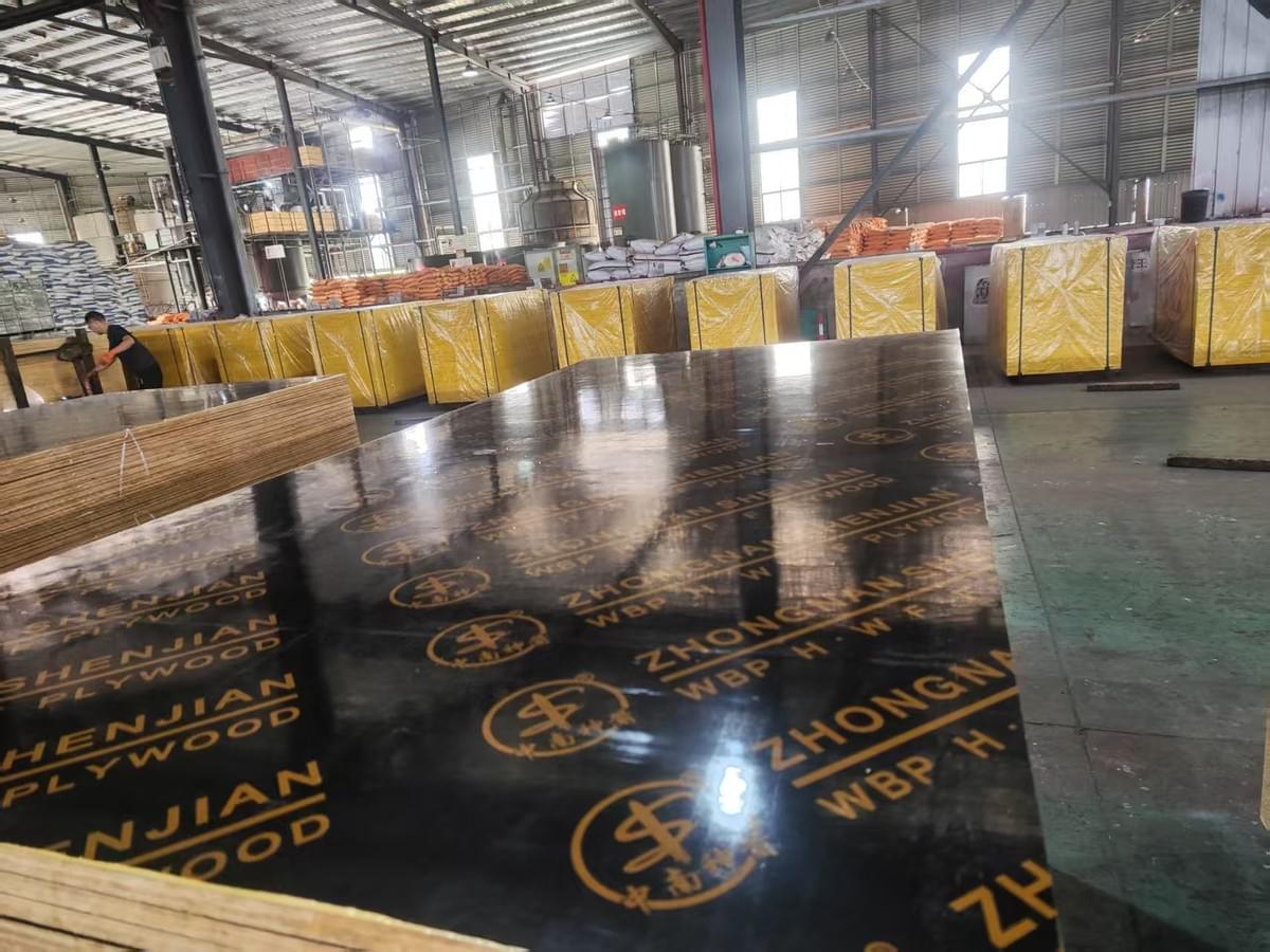 From Forest to Formwork – The Birth of Construction Ply...