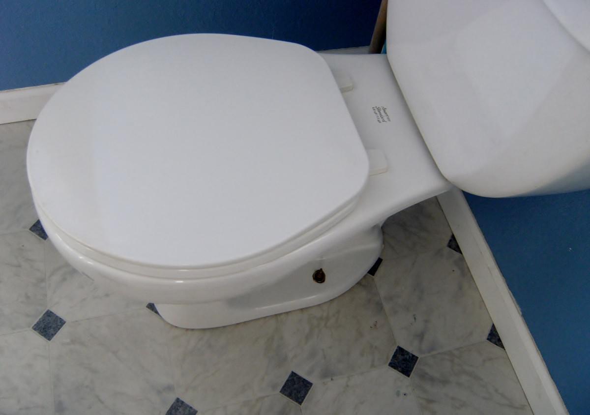 Repair the Toilet: Possible Breakdowns