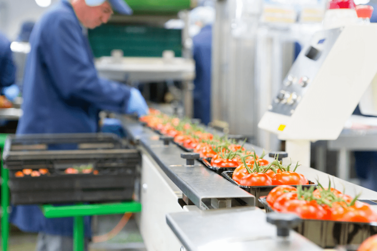 Food Plant Cleanliness Services: Making Sure Safe and H...