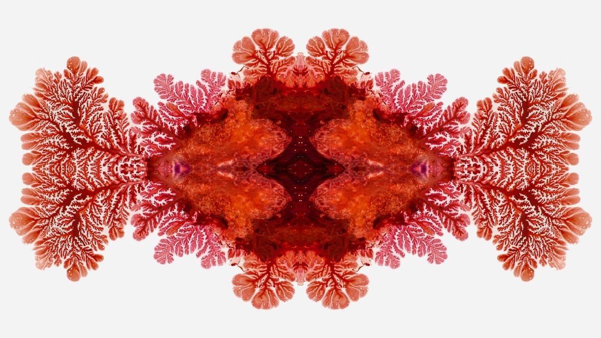 The Science of Breathing: Dr. Gregory Duhon, MD, on Bre...