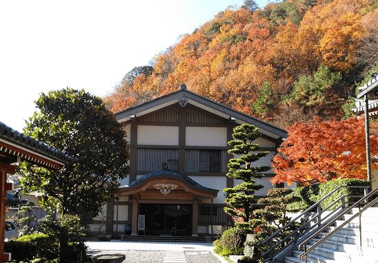 AUTUMN LEAVES SIGHTSEEING AUTUMN LEAVES SIGHTSEEING