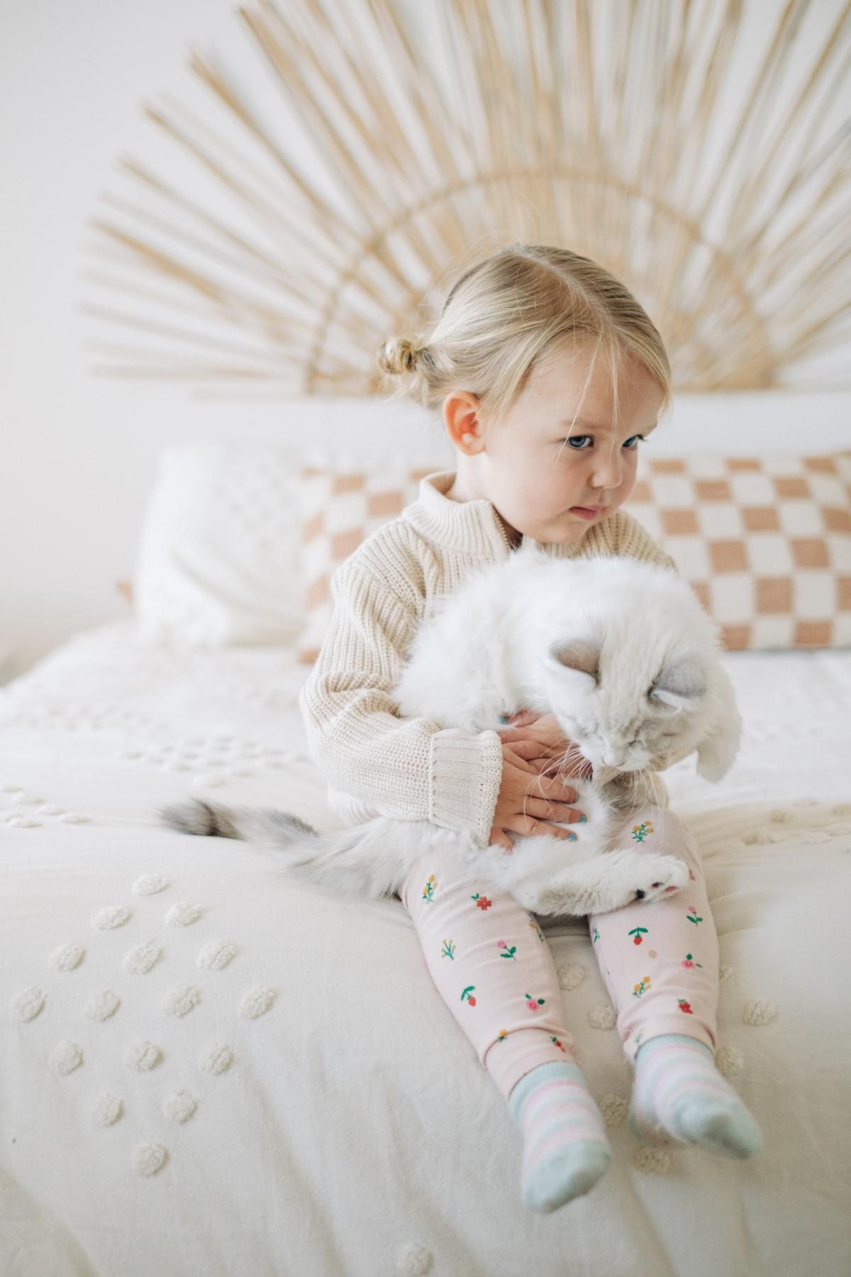 The Best Cats for Kids