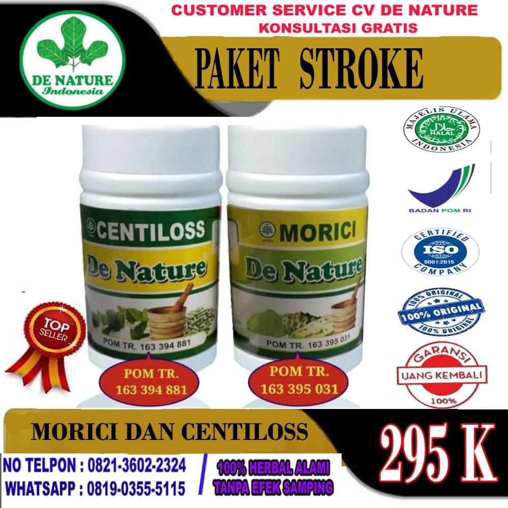Harga Obat stroke paling manjur dan ampuh di apotik kim...