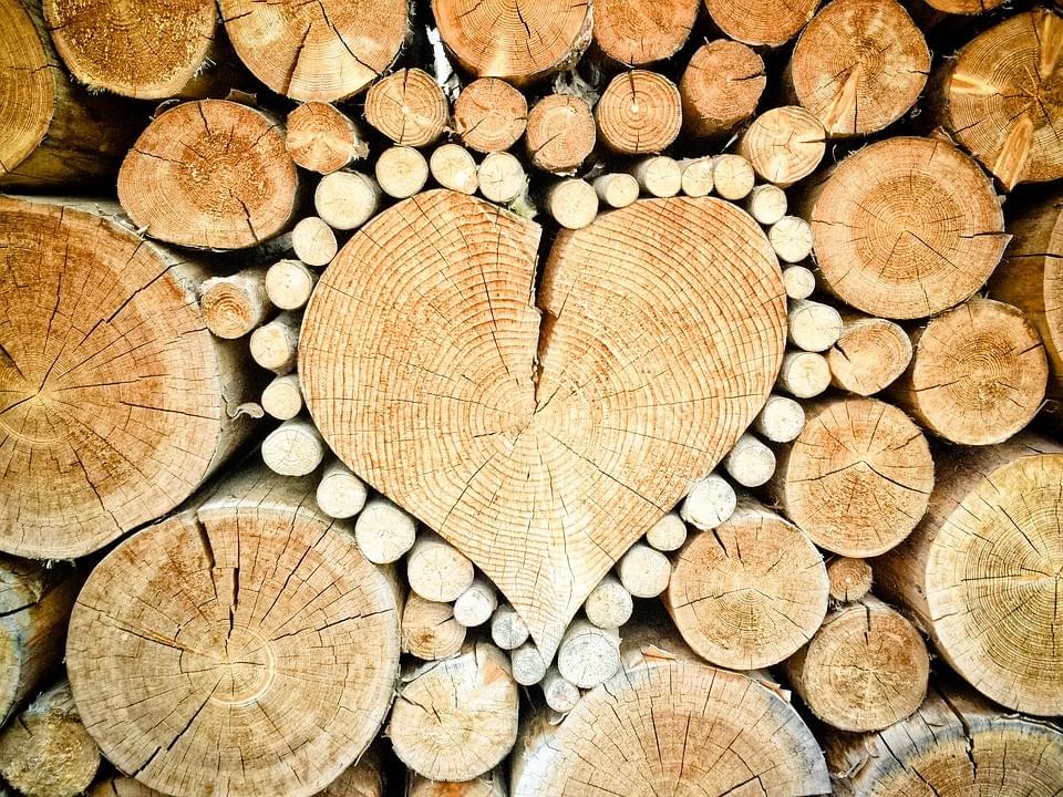 Things you Should Know Before Buying Firewood Delive...