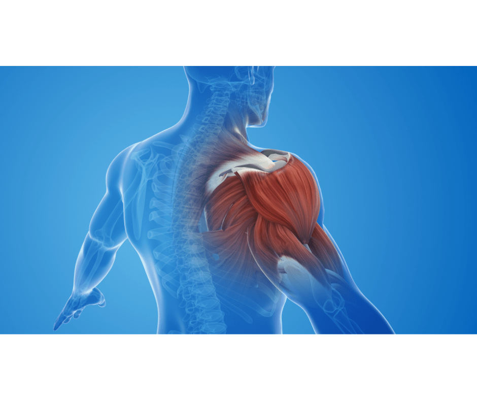 YOU'VE IMPLEMENTED "LEAN", NOW IT'S TIME TO DEVELOP THE...