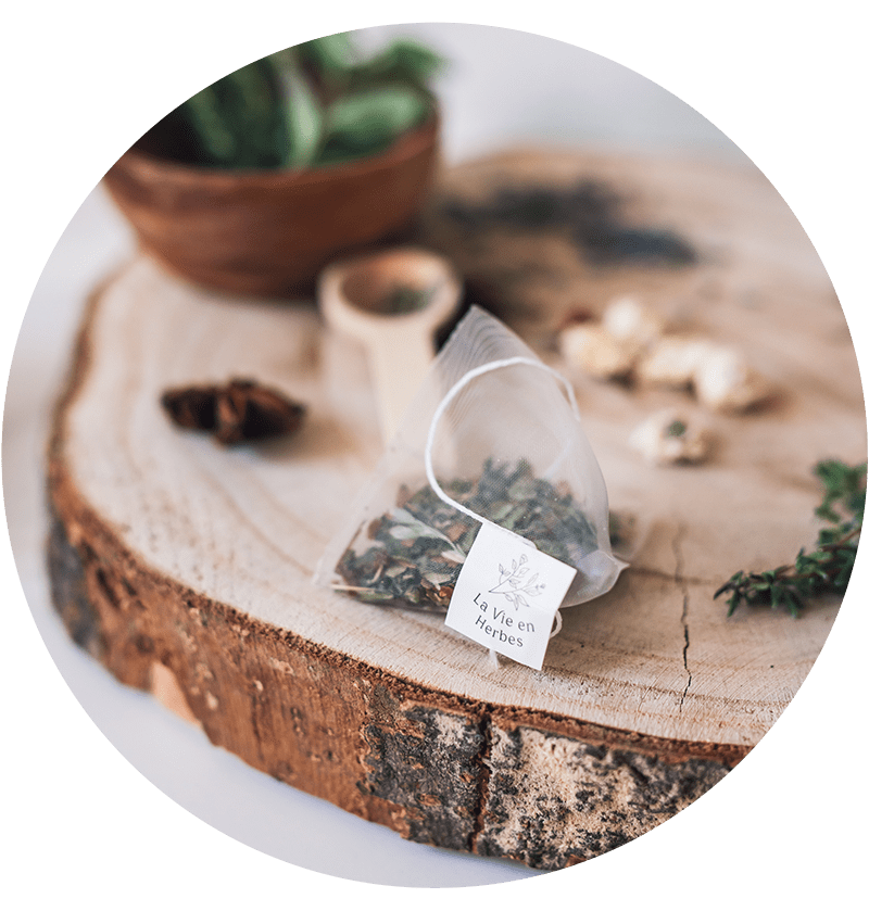 Tisanes équitables Made in France : La Vie en Herbes