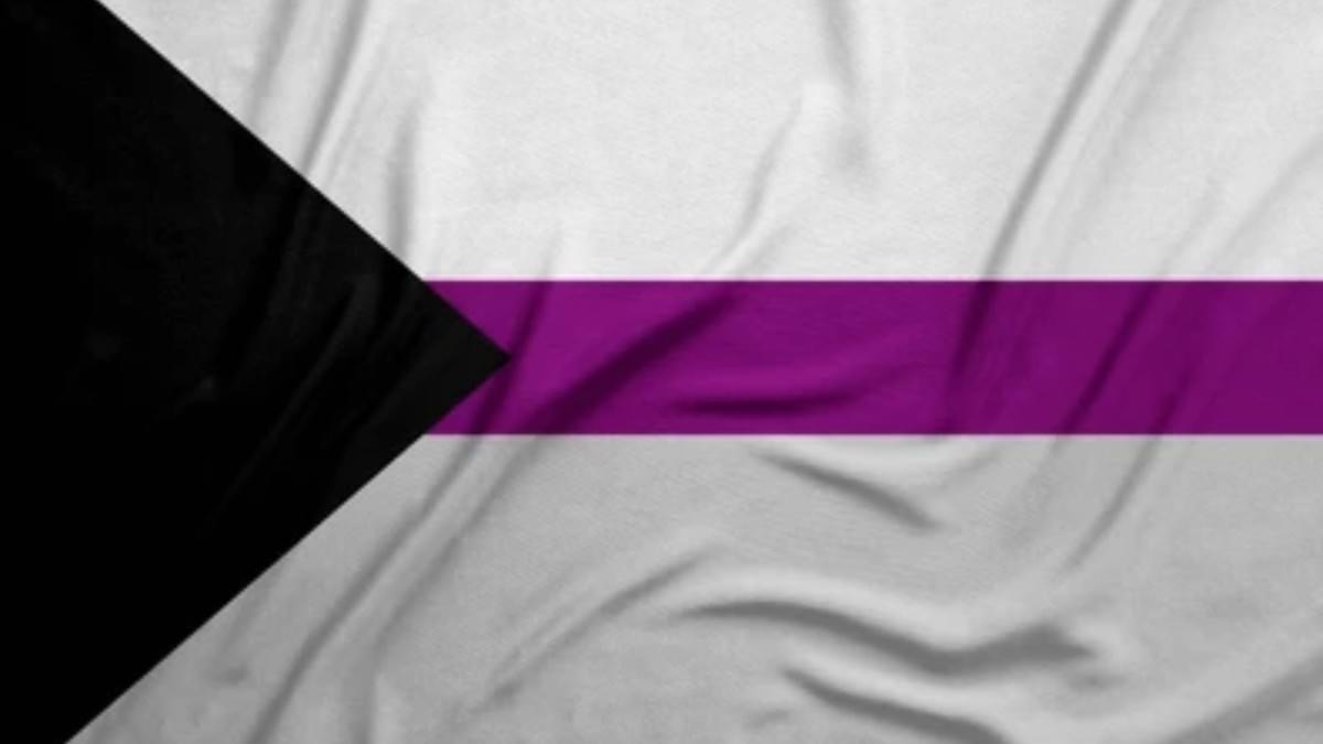 The Demisexual Flag: Unpacking Its Meaning and Importan...