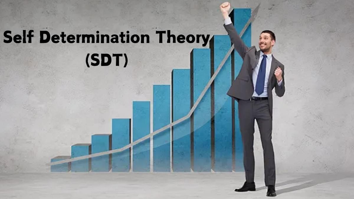 Boosting Motivation: Positive Feedback in Self-Determin...
