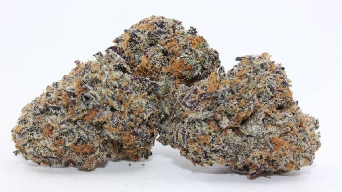 Pure Michigan Strain: A Cannabis Connoisseur's Delight