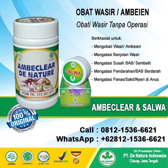 Obat Nyeri Wasir Alami Mujarab Apotik - obat bab berdar...