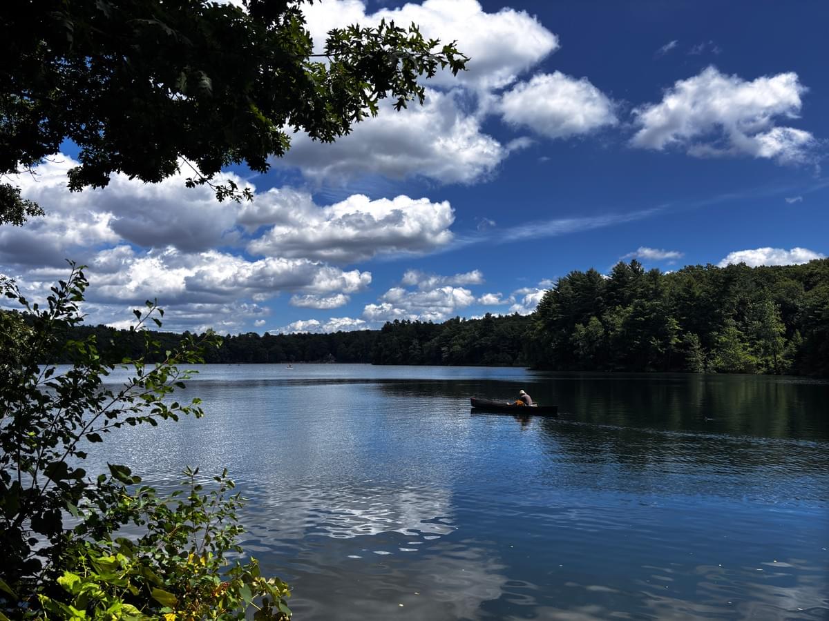 2024 Annual summary - Academic Entertainment Reading Sp...