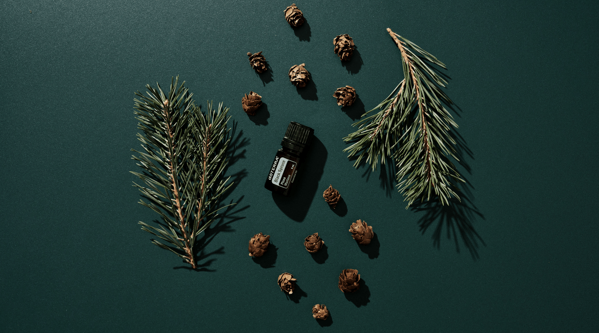 Deeper with Black Spruce - Essential Oils