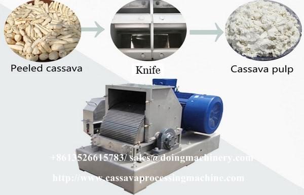 Cassava flour production process and equipment
