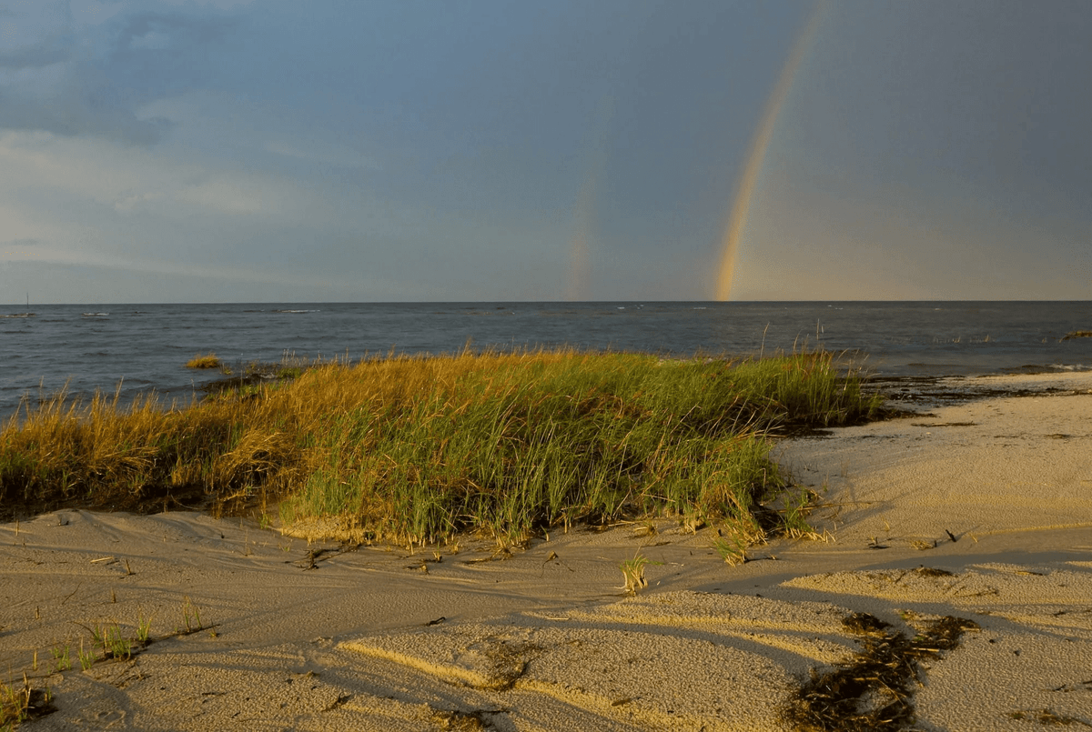 Firsts and Lasts Are Signs of a Life Well Lived