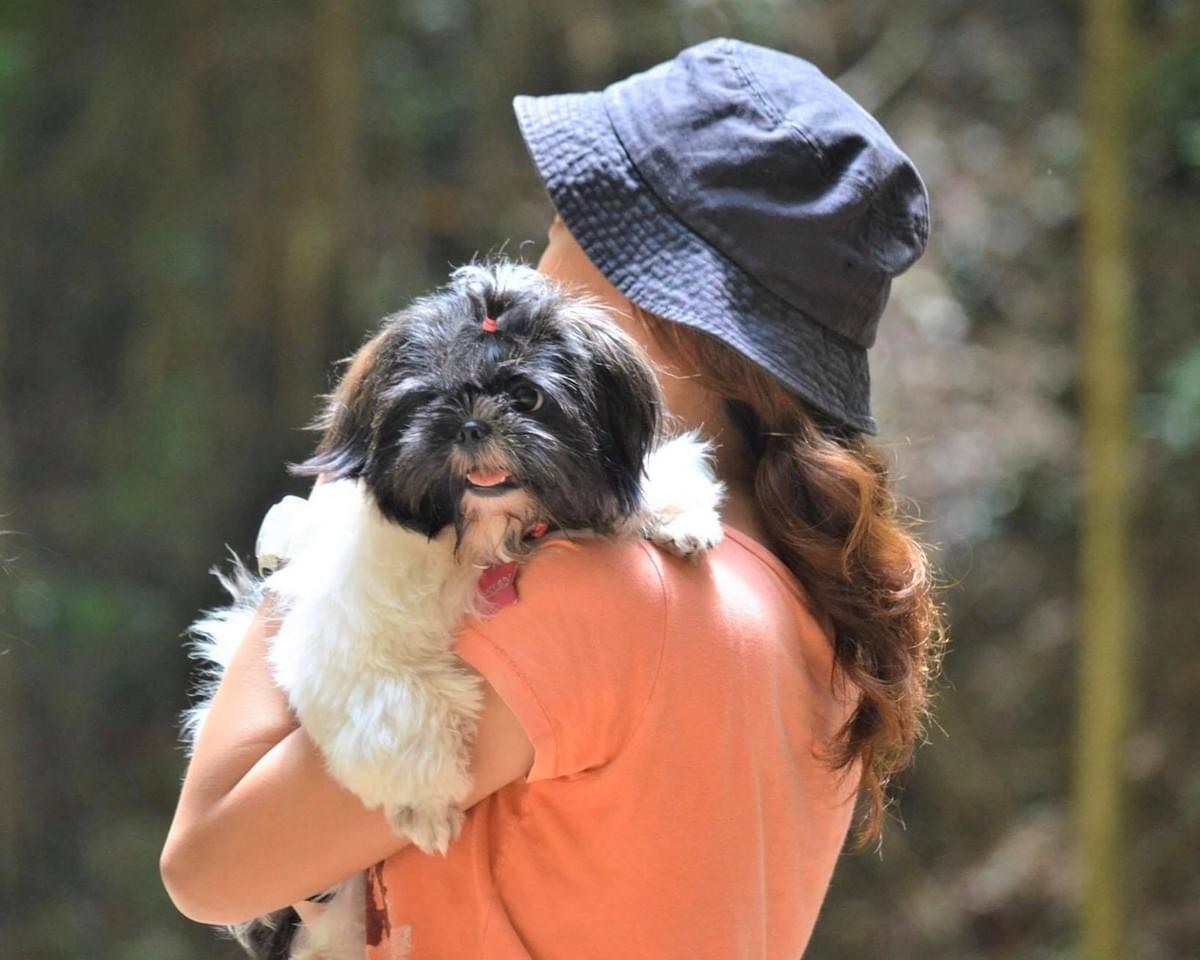 What it takes to be a good pet owner