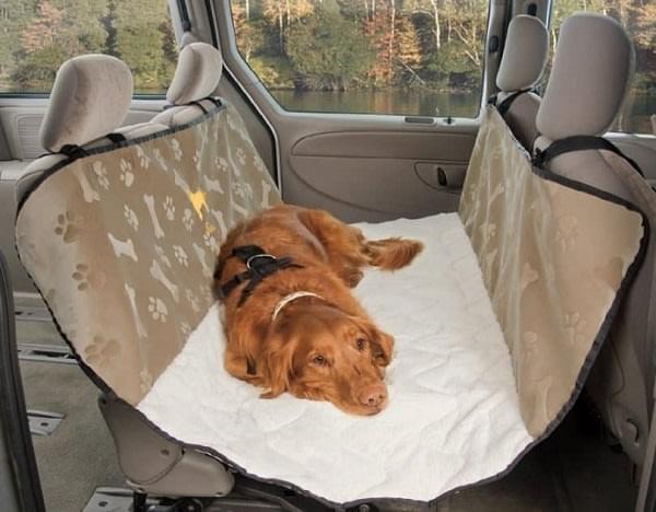 Creating a canine car kit