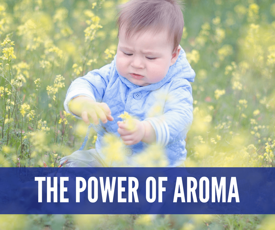 STEP 4 - THE POWER OF AROMA