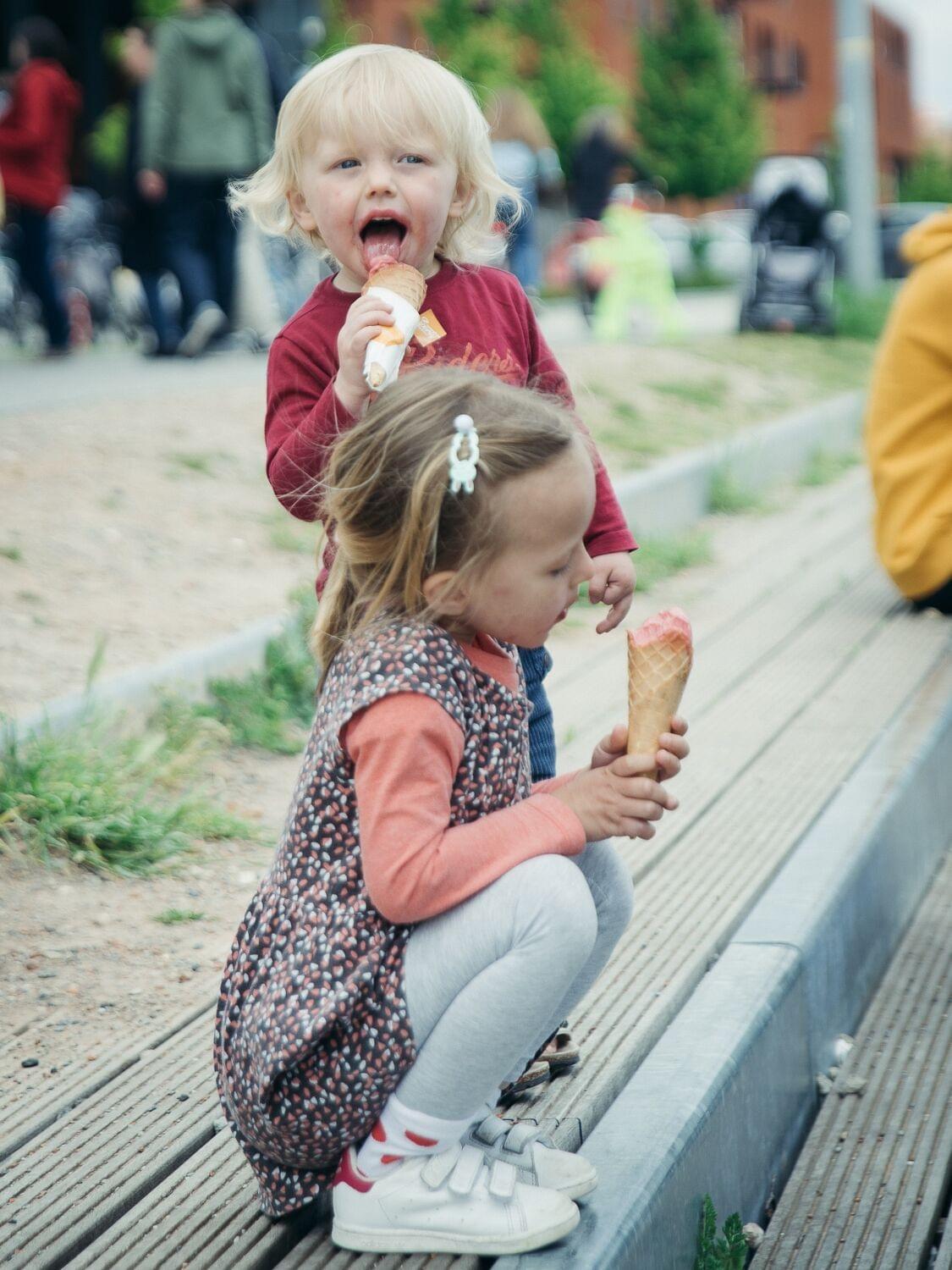 IJSJES TE KOOP ! - voeding