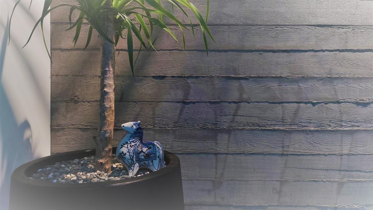 JP - Minimum Studios