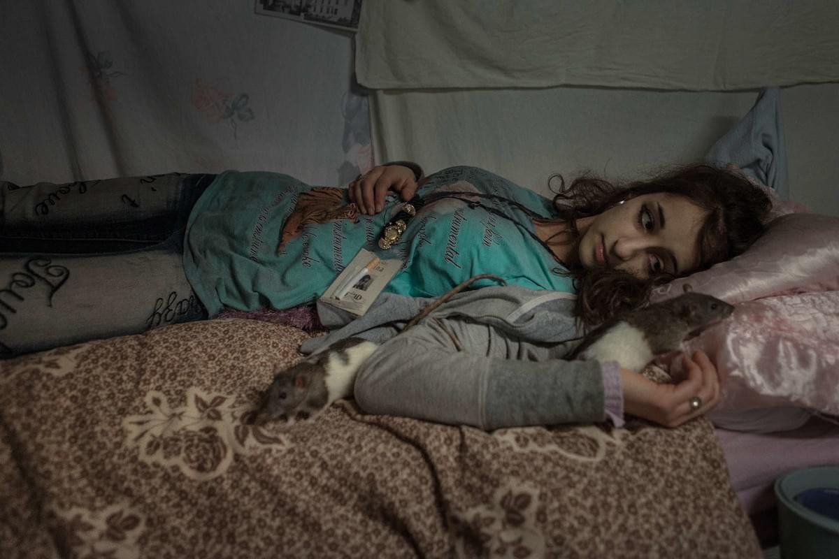 Schauspielhaus • Das Halbe Leid - Performance Installat...