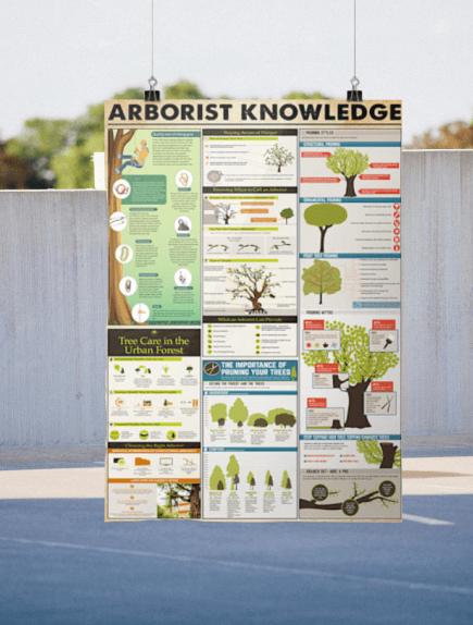 [AUTHETIC] Arborist knowledge poster