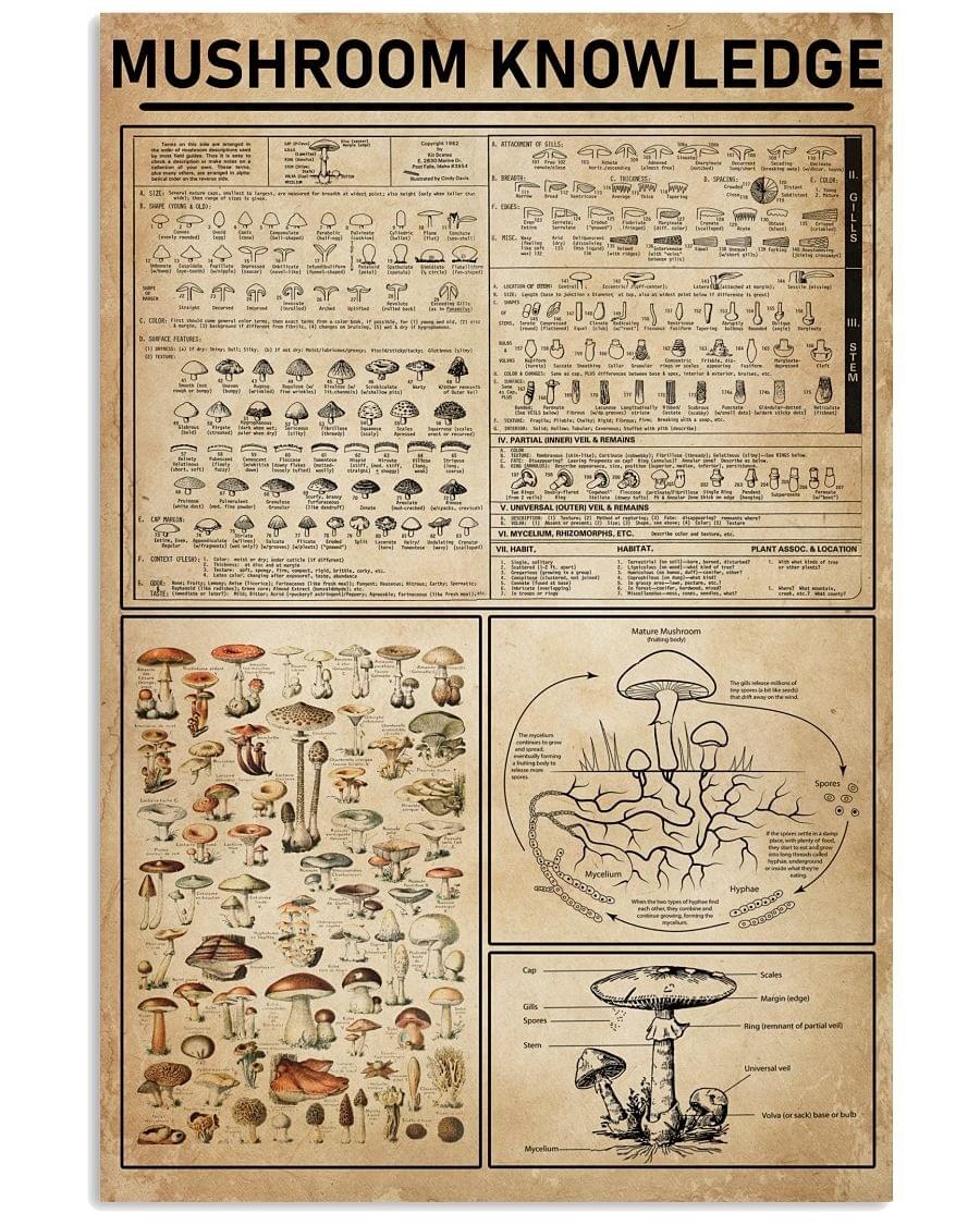 [LIMITED] Mushroom know poster