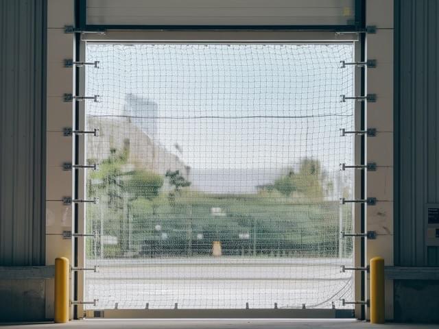 8 Best Bird Deterrents - How to Really Scare Birds Away