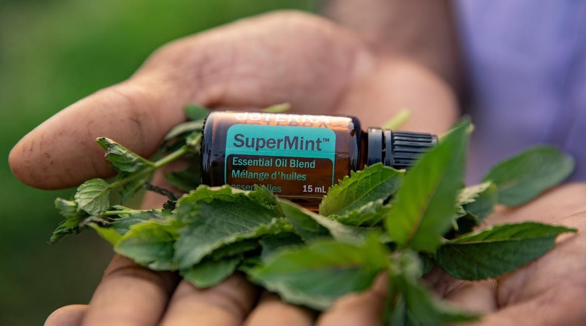 Exploring the Refreshing World of doTERRA SuperMint Ess...